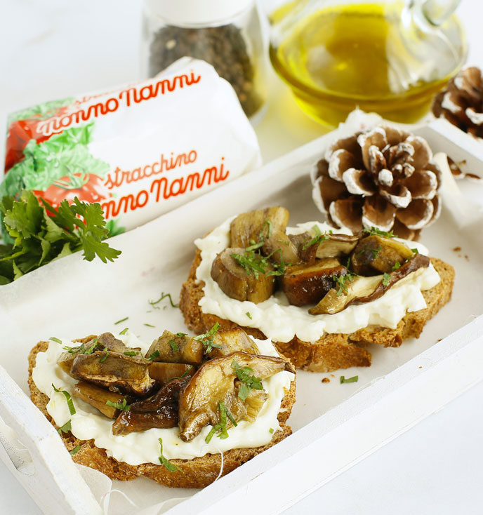 Stracchino Ricco di Fermenti Lattici Vivi | Nonno Nanni